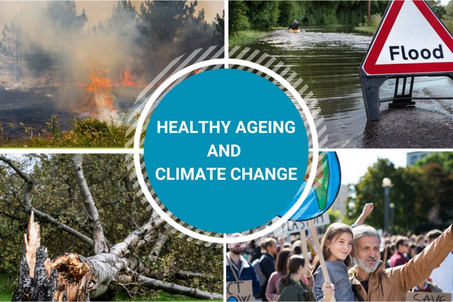 Healthy Ageing in Place: Climate Resilient Age-Friendly Cities And ...